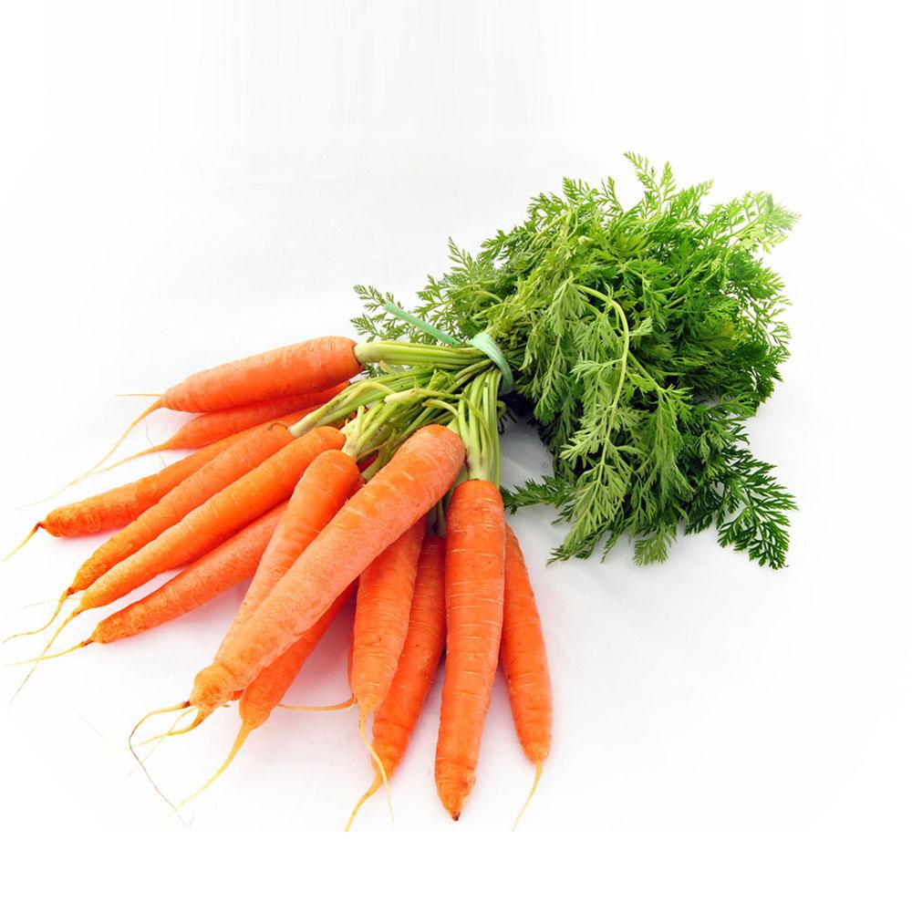 Carote fresche a mazzetto - Ortivery